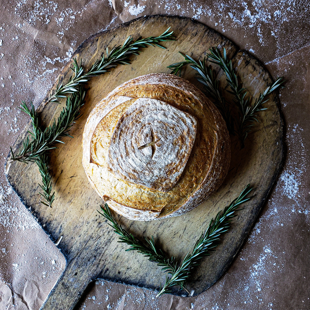 A Quick Sourdough Q&A | Christies Bakery