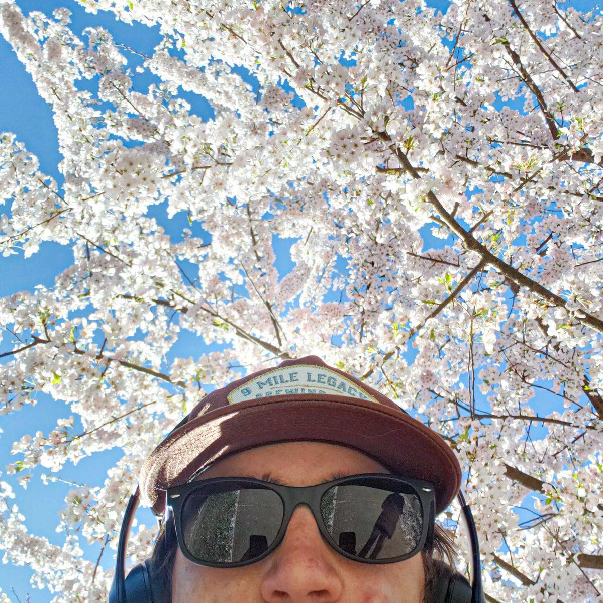 A Spring Time Reflection | Christies Bakery